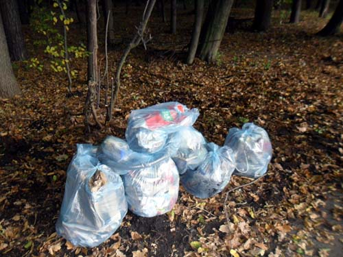 Szkoła Podstawowa nr 6 w Kraśniku